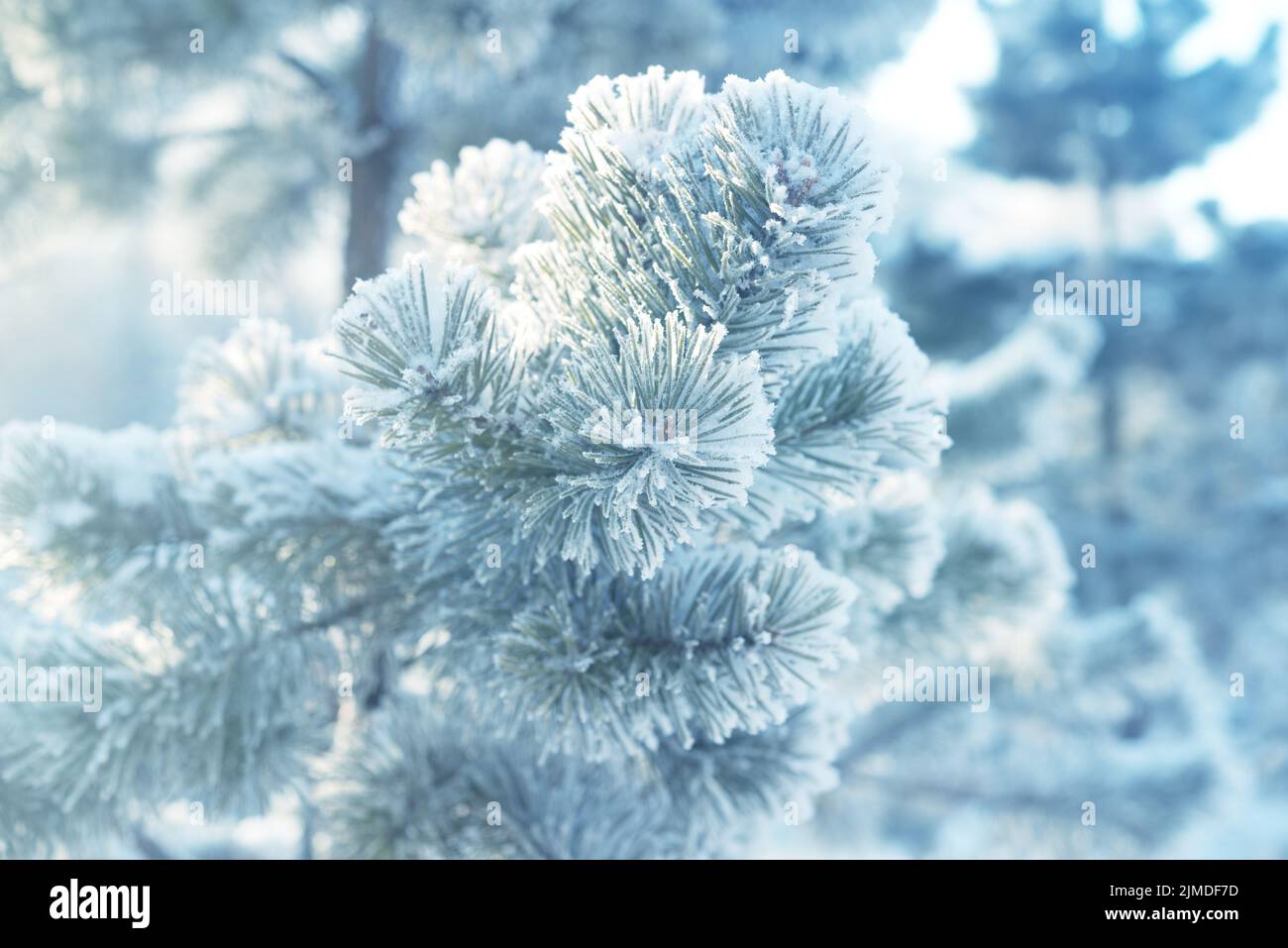 Horizontal pan hi-res stock photography and images - Alamy