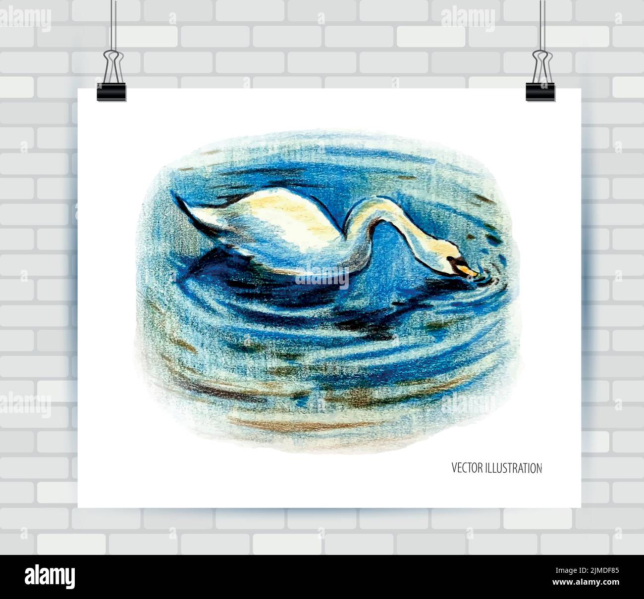 Drawing of a swan in colorpencil. Vector illustration. hand drawn ...