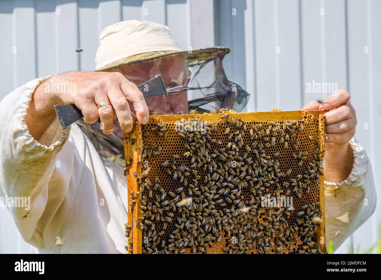 Clothing inspection hi-res stock photography and images - Alamy