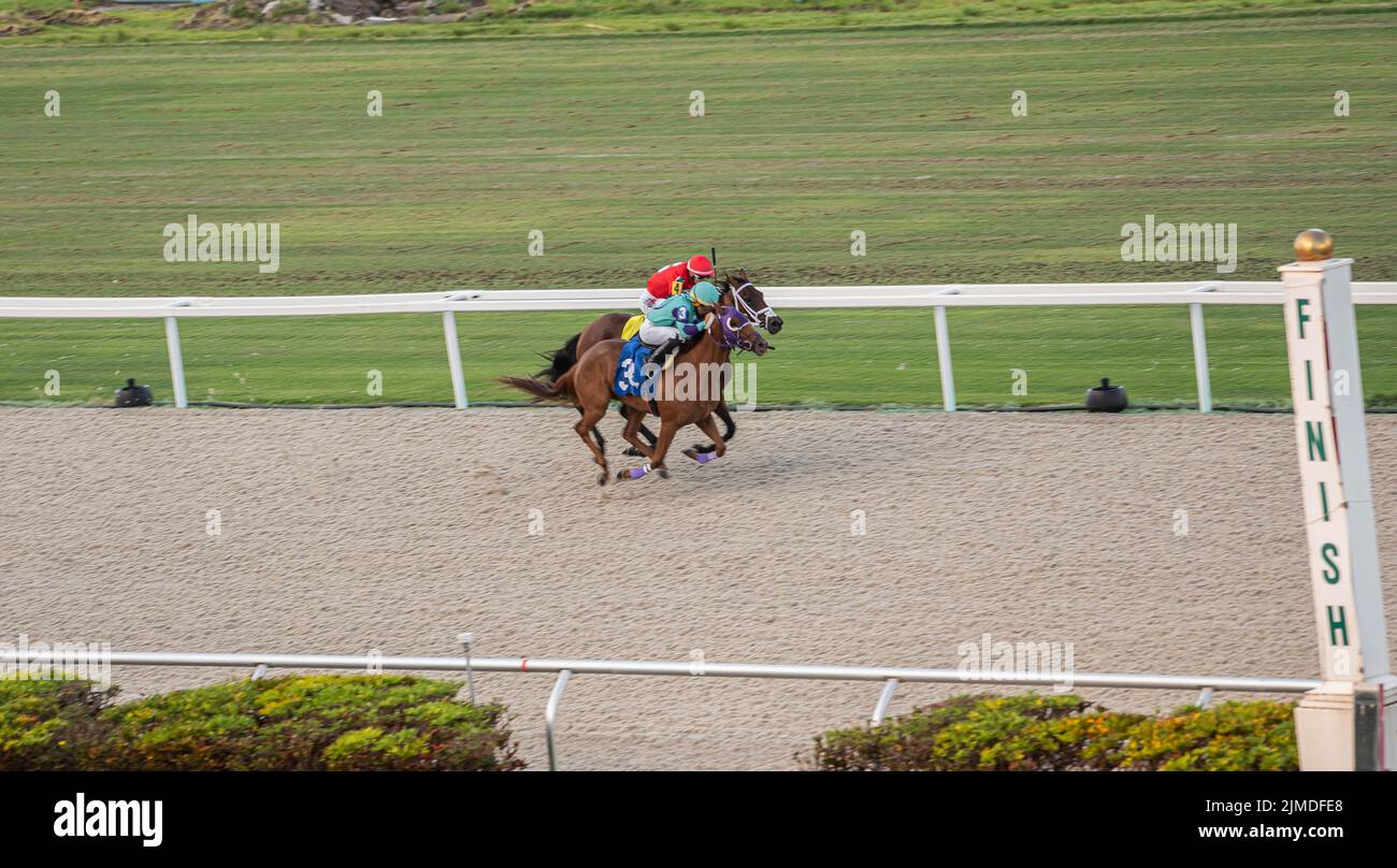 Gulfstream race track casino hi-res stock photography and images - Alamy