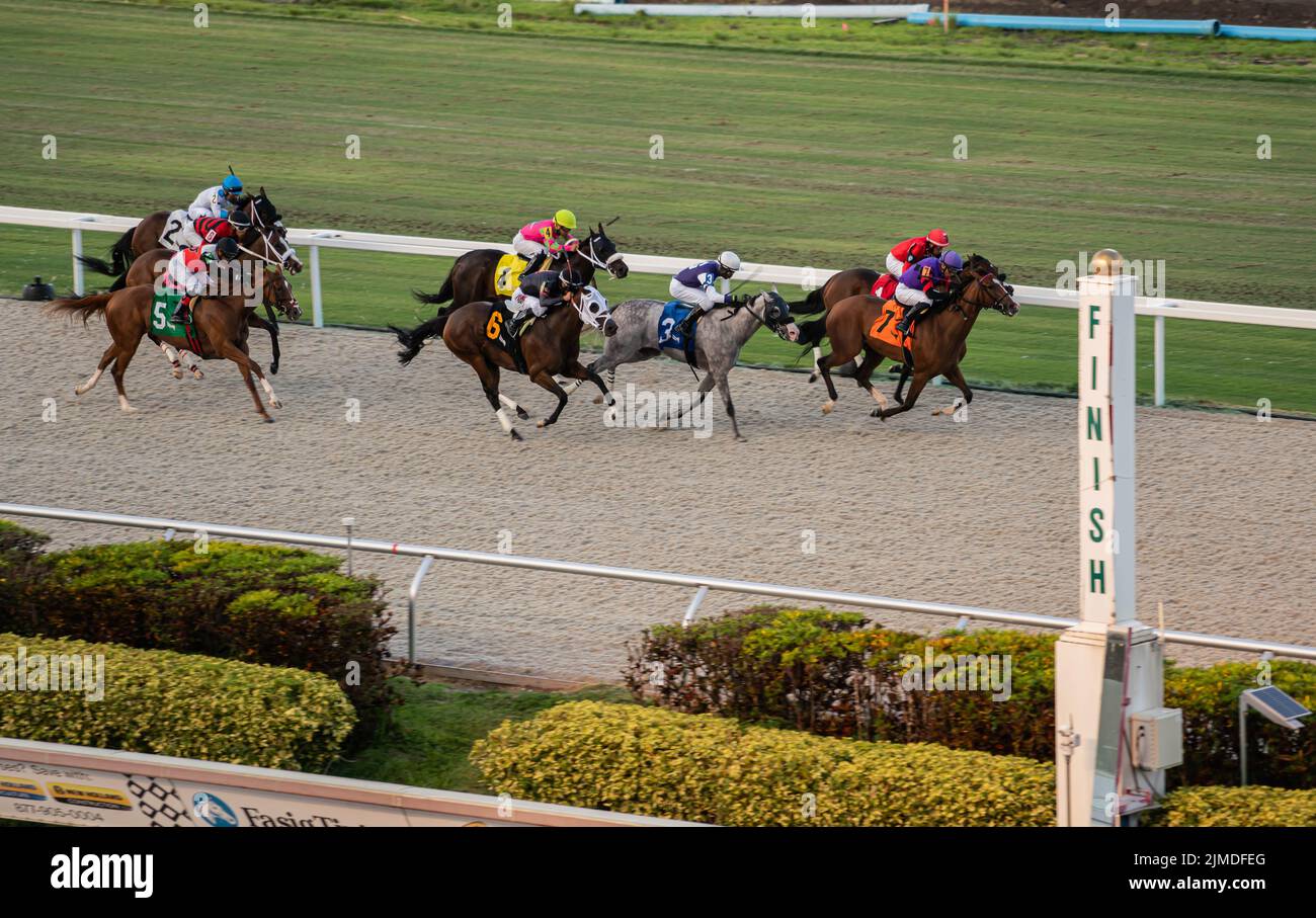 Horse race finish line 2022 hi-res stock photography and images - Alamy