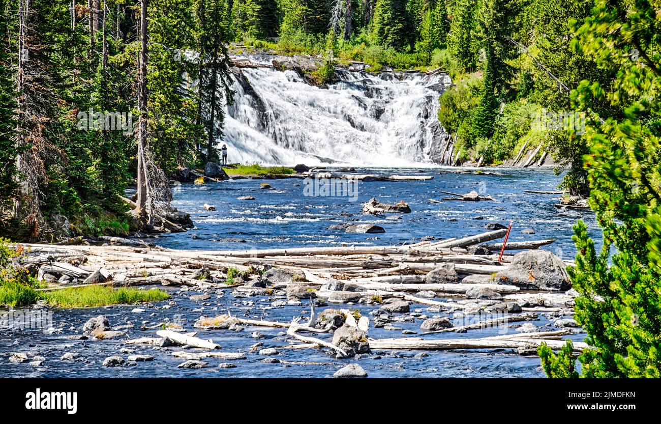 Yellowstone national park nature scenes in wyoming USA Stock Photo - Alamy