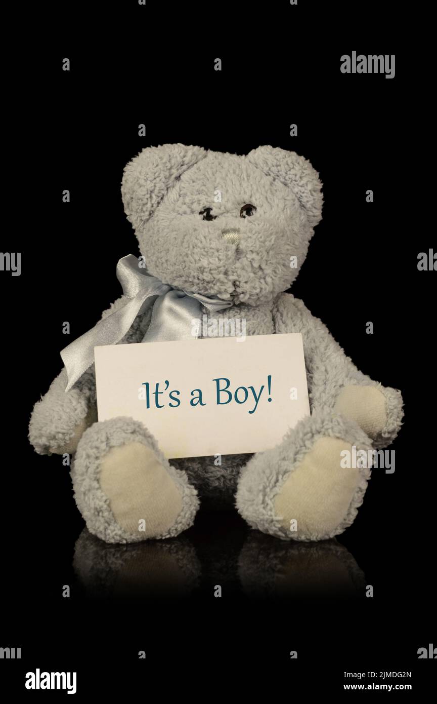 Its A Boy Teddy Bear Stock Photo - Alamy