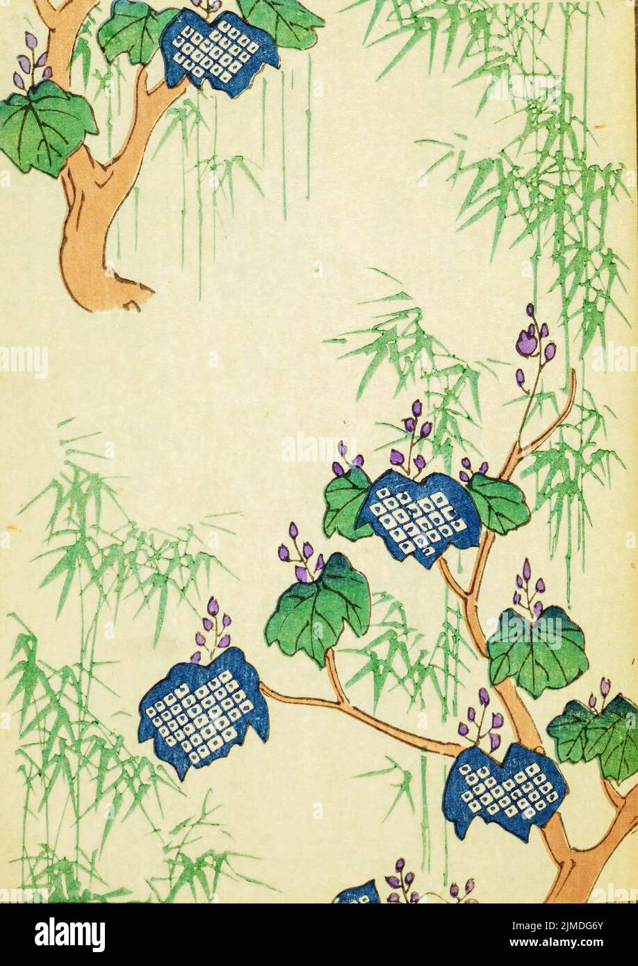 Traditional Japanese Bamboo Designs