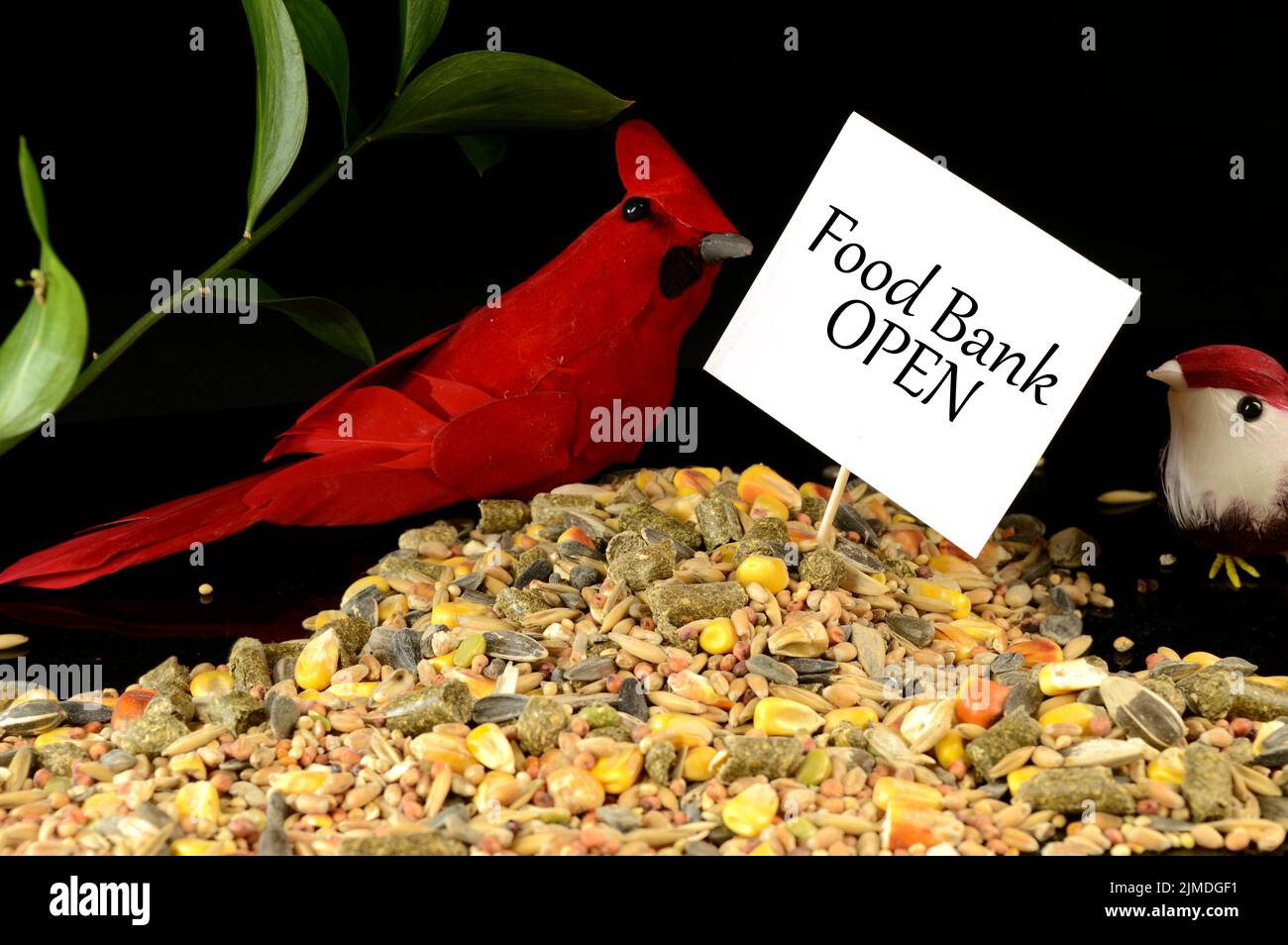 Community volunteer food bank hi-res stock photography and images - Alamy