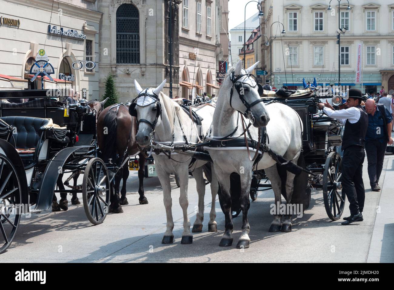 Horse carriages in Vienna Stock Photo - Alamy