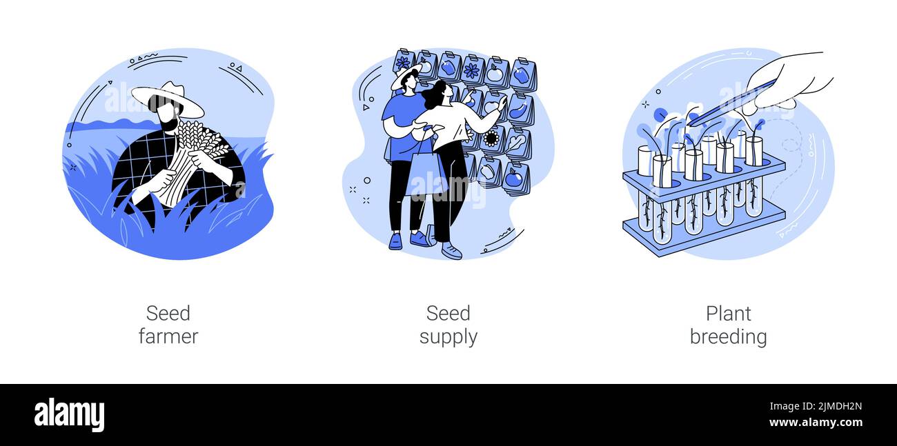 Seeds and plant breeding isolated cartoon vector illustrations se Stock ...