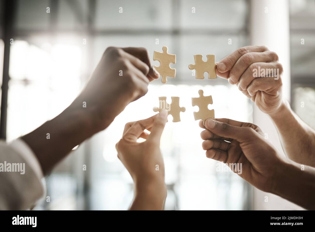 Diverse team solving a problem together due to teamwork, support and ...