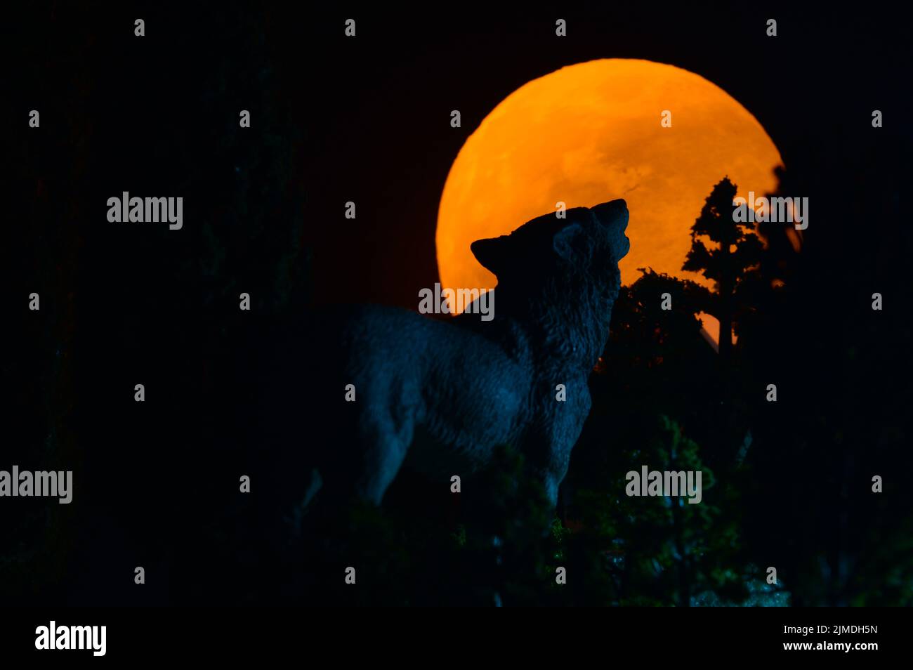 Full Moon Rising Stock Photo - Alamy