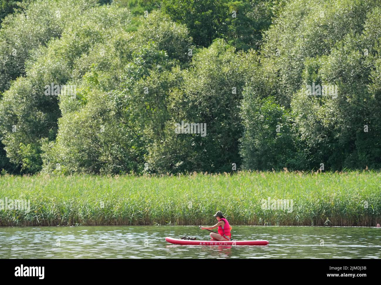 Senftenberg, Germany. 04th Aug, 2022. A woman glides across the water ...