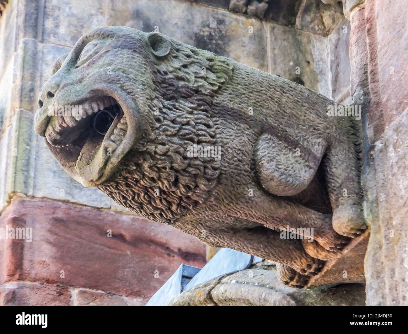 This lion gargoyle adorns the exterior of Rosslyn Castle in Roslin ...