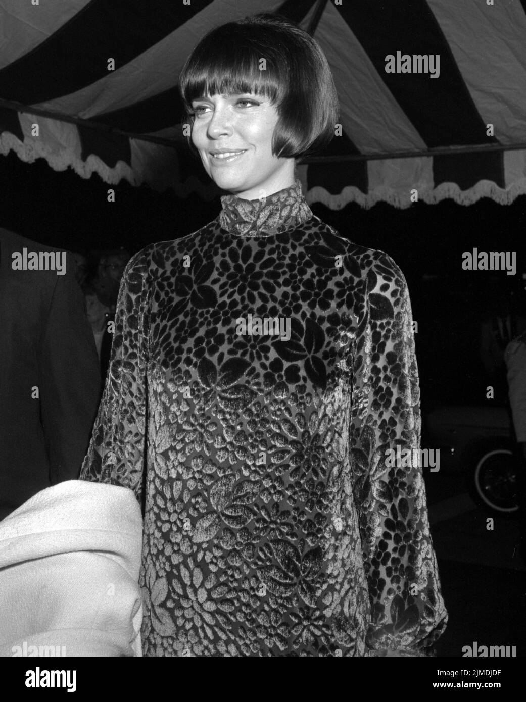 Barbara feldon hi-res stock photography and images - Alamy