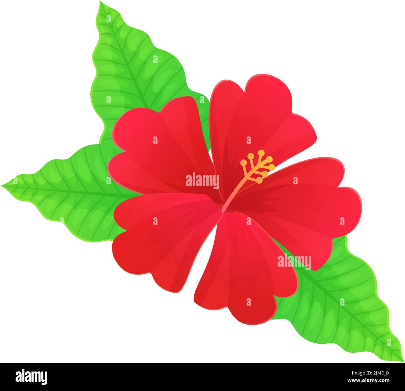 Red hibiscus on white Stock Vector Images - Alamy