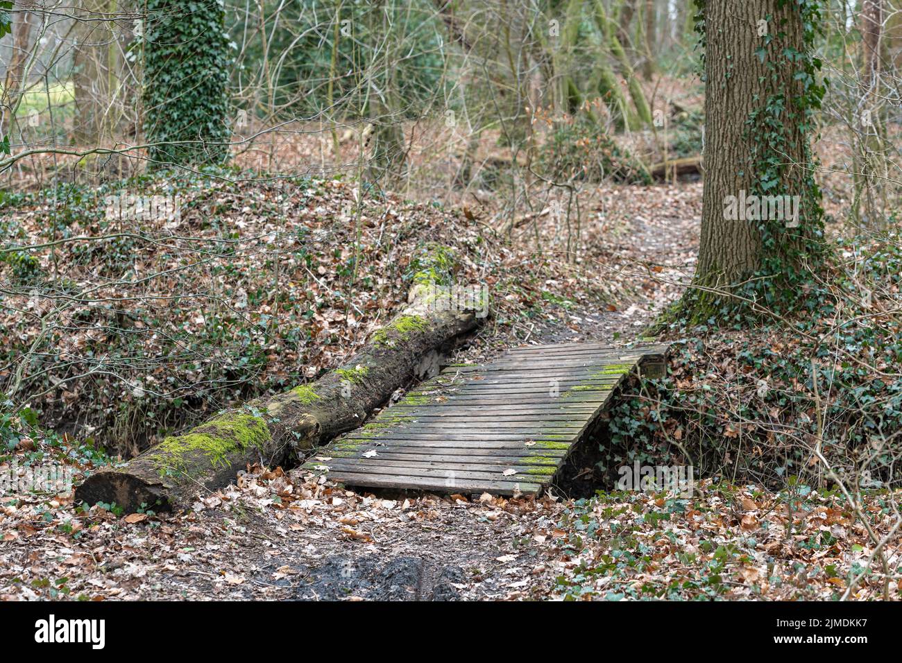 Simple wooden bridge on the border of the Netherlands and Germany Stock ...