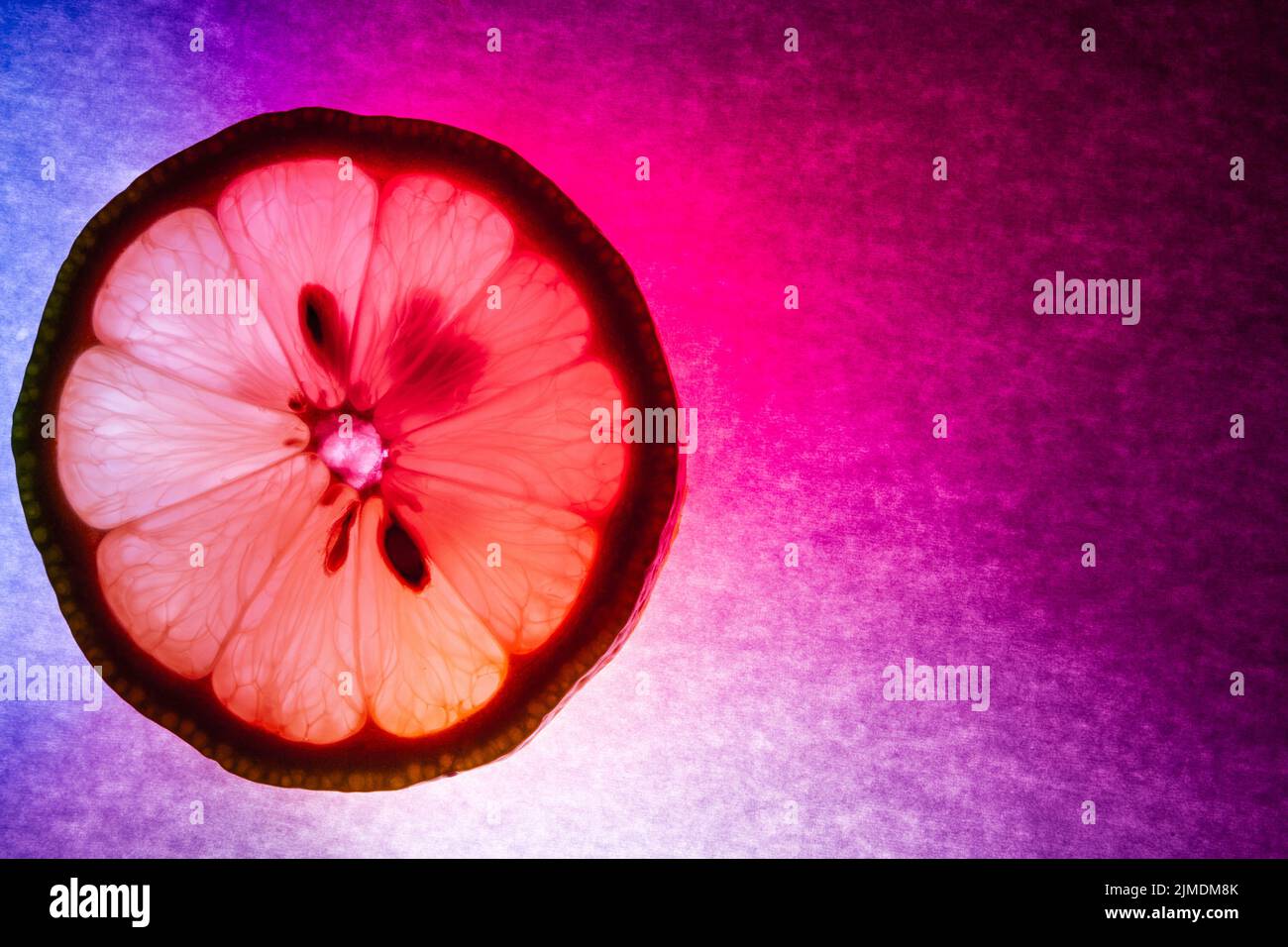 Lemon thin slice, macro capture, colorfully illuminated and back lit ...