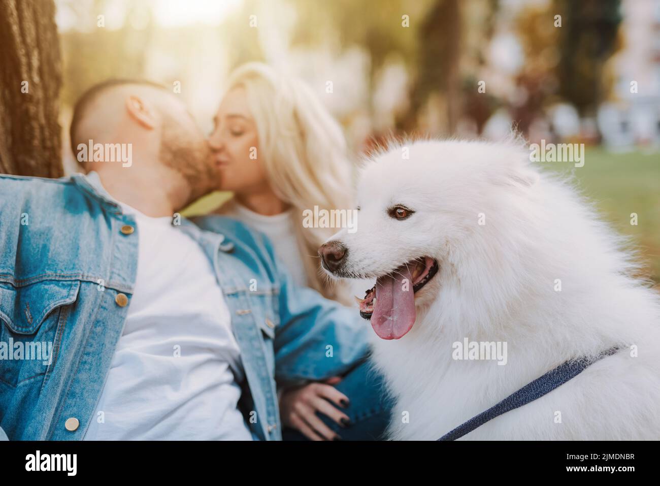 Happy couple with samoyed breed dog are kissing outdoors Stock Photo ...
