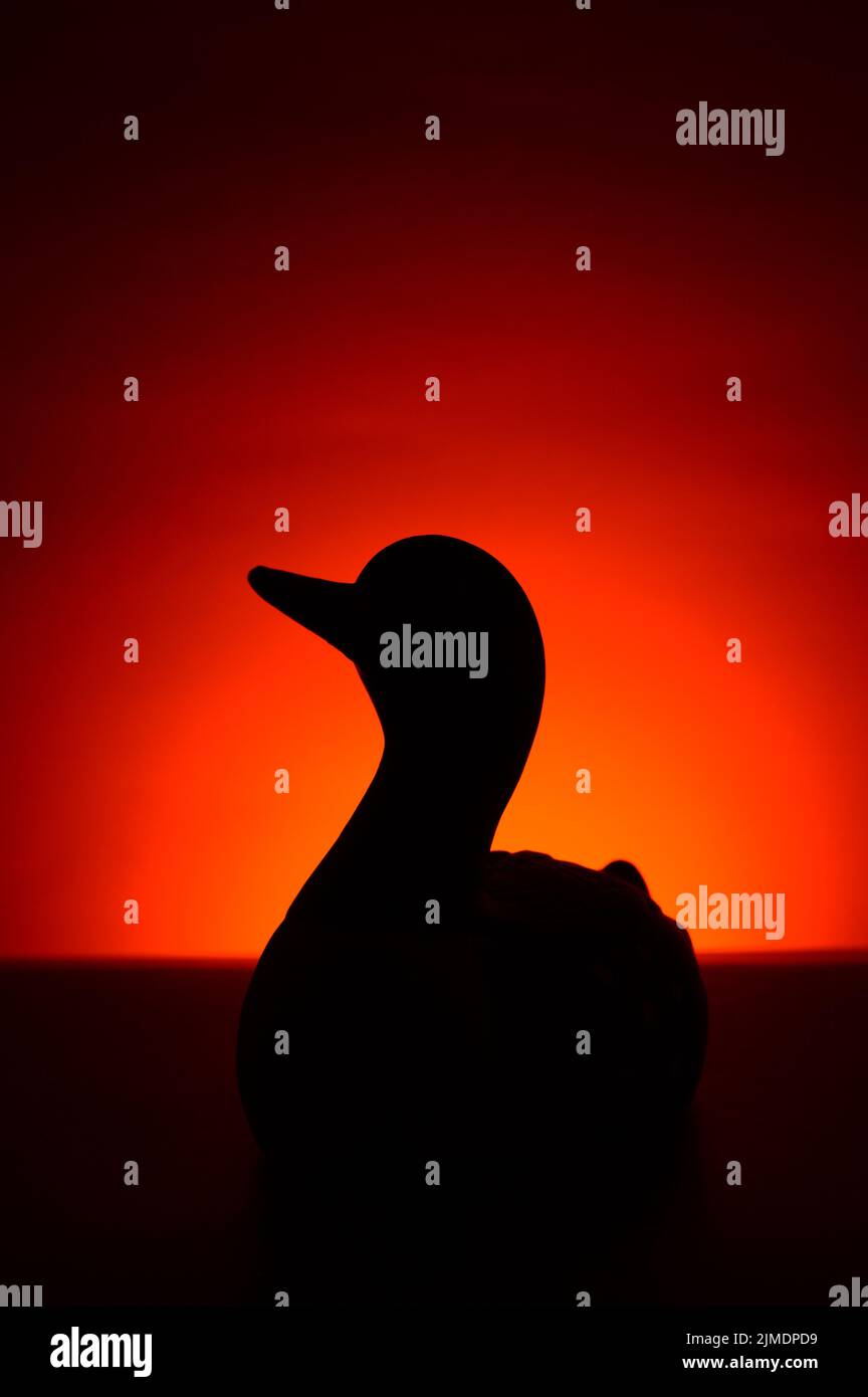 Common loon call hi-res stock photography and images - Alamy