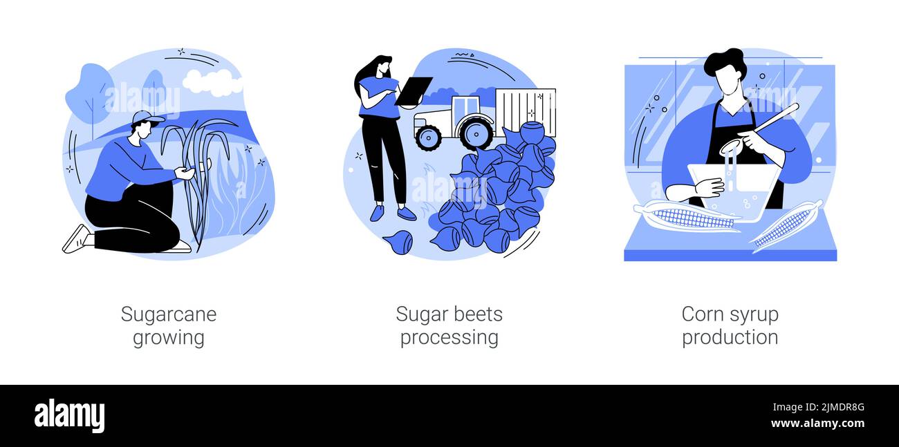 Sugar production isolated cartoon vector illustrations se Stock Vector ...