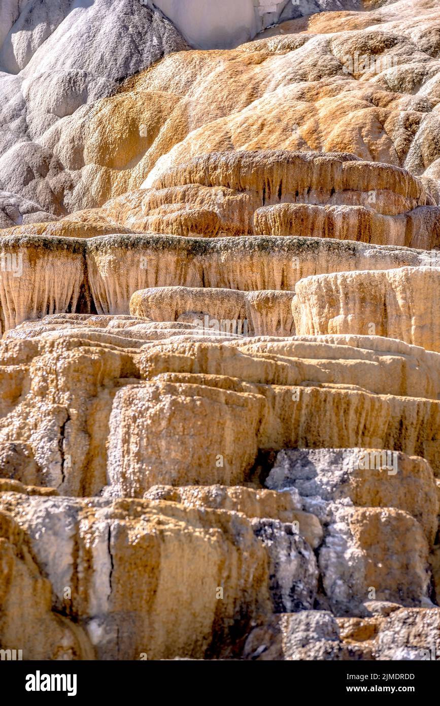 Travertine Terraces, Mammoth Hot Springs, Yellowstone Stock Photo - Alamy