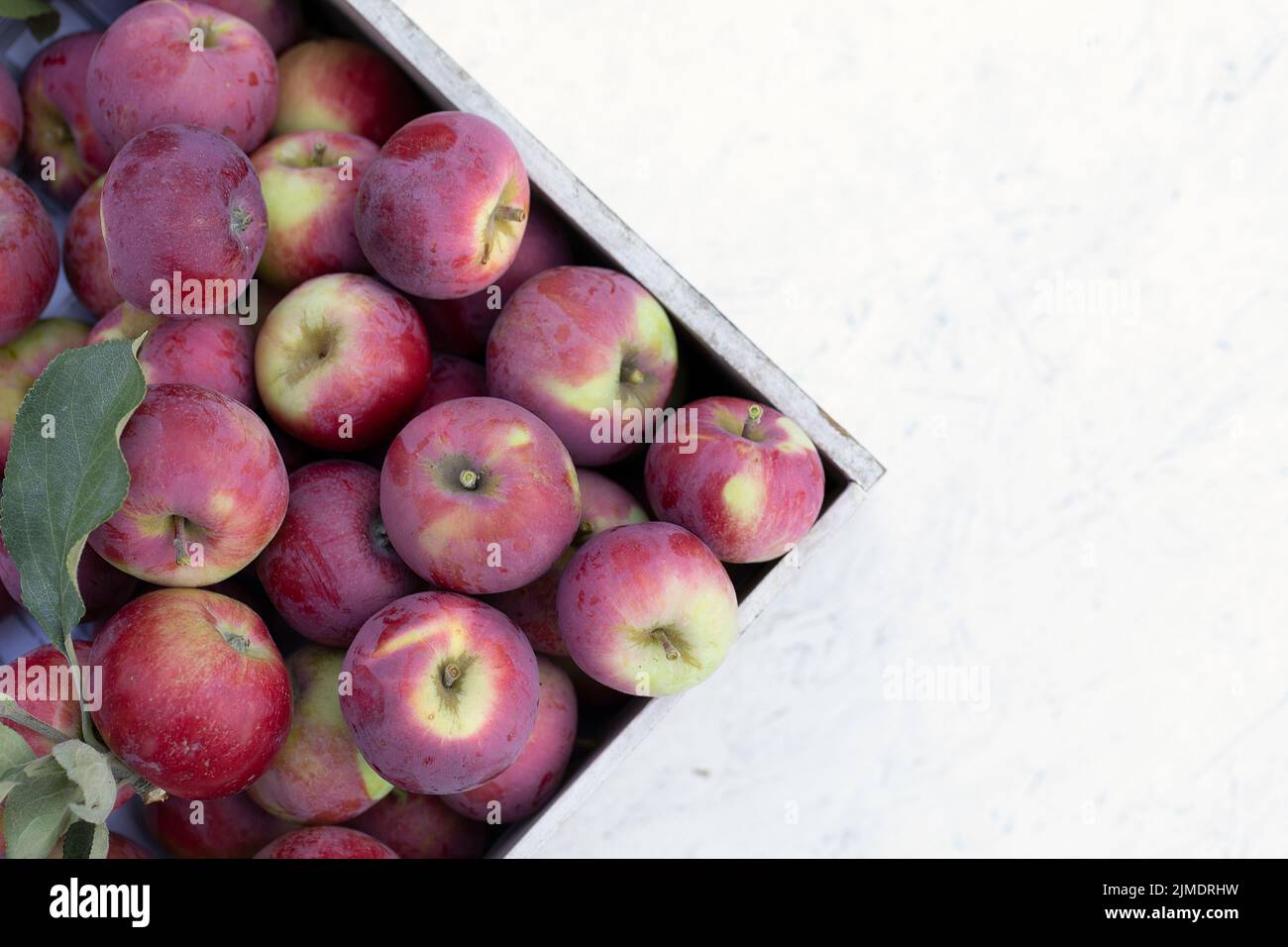 Red apples in box on wooden on white background. Top view Stock Photo ...