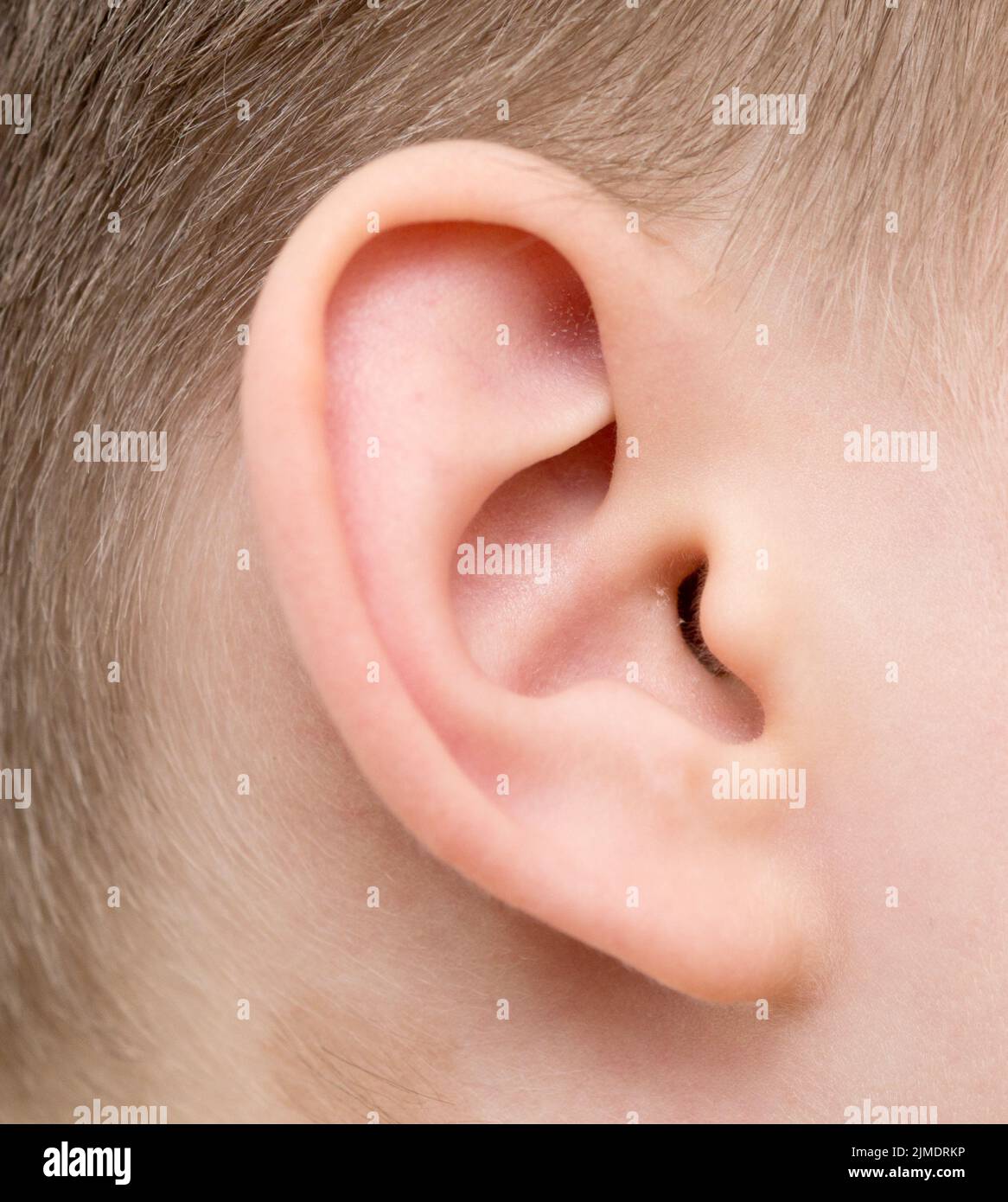Ear child anatomy hi-res stock photography and images - Alamy