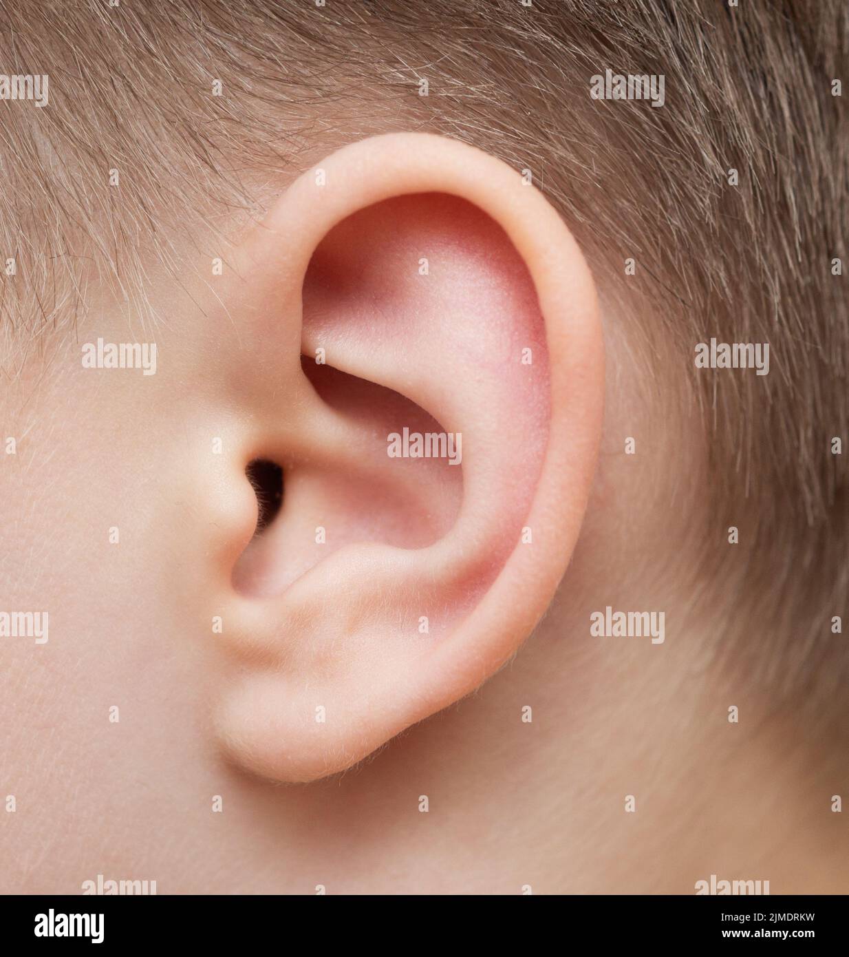 Ear child anatomy hi-res stock photography and images - Alamy