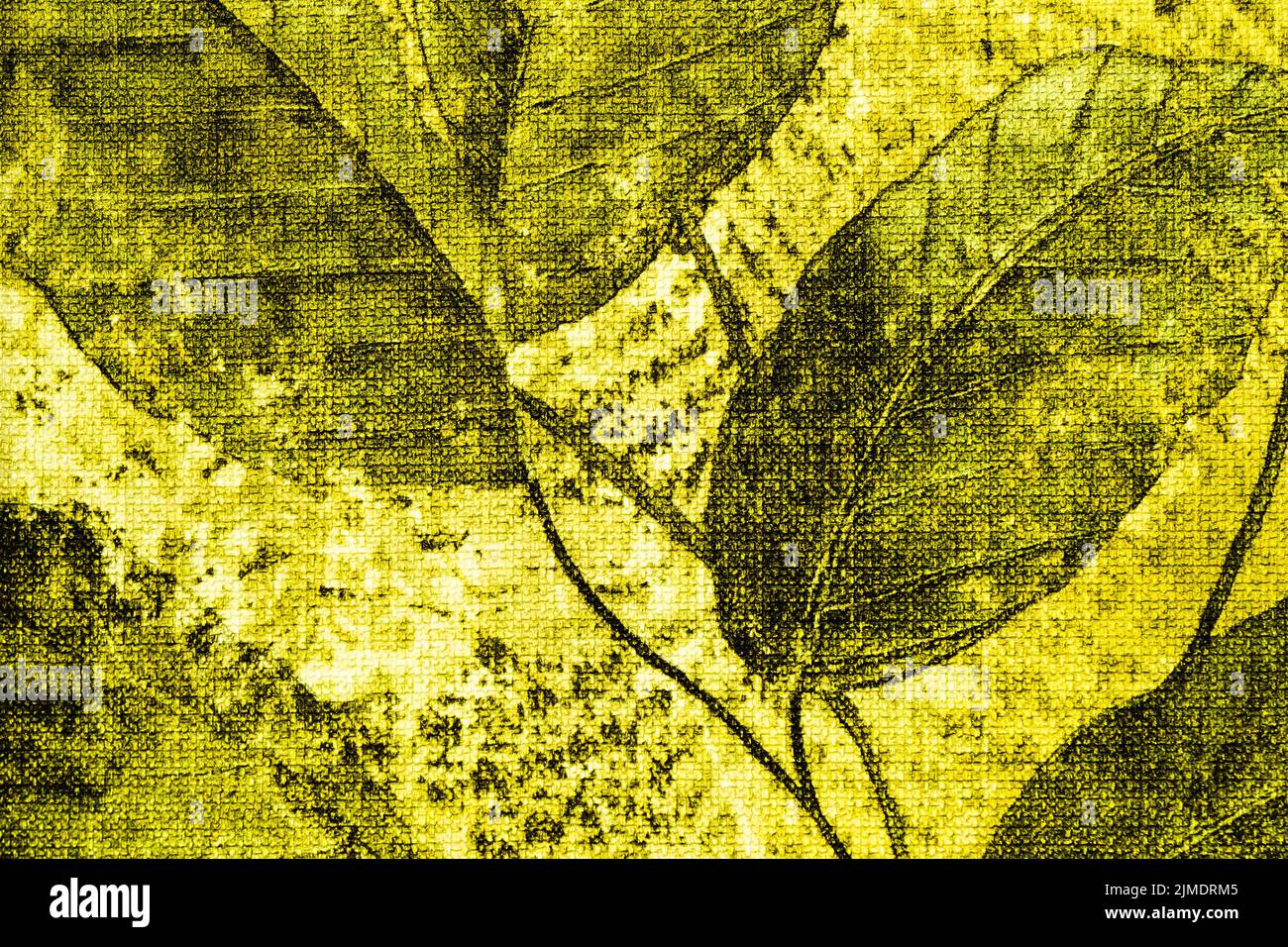 Print texture hi-res stock photography and images - Alamy