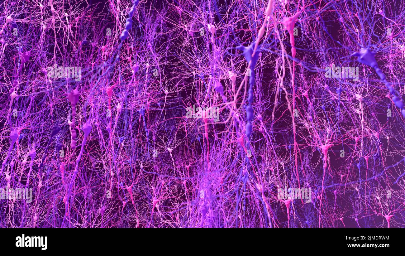 Neural communication, illustration Stock Photo - Alamy