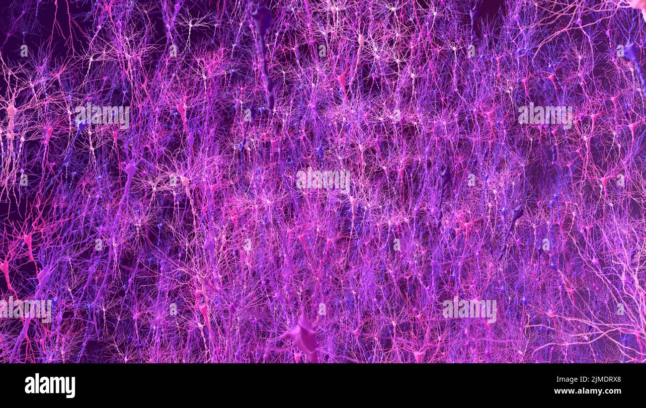 Neural communication, illustration Stock Photo - Alamy