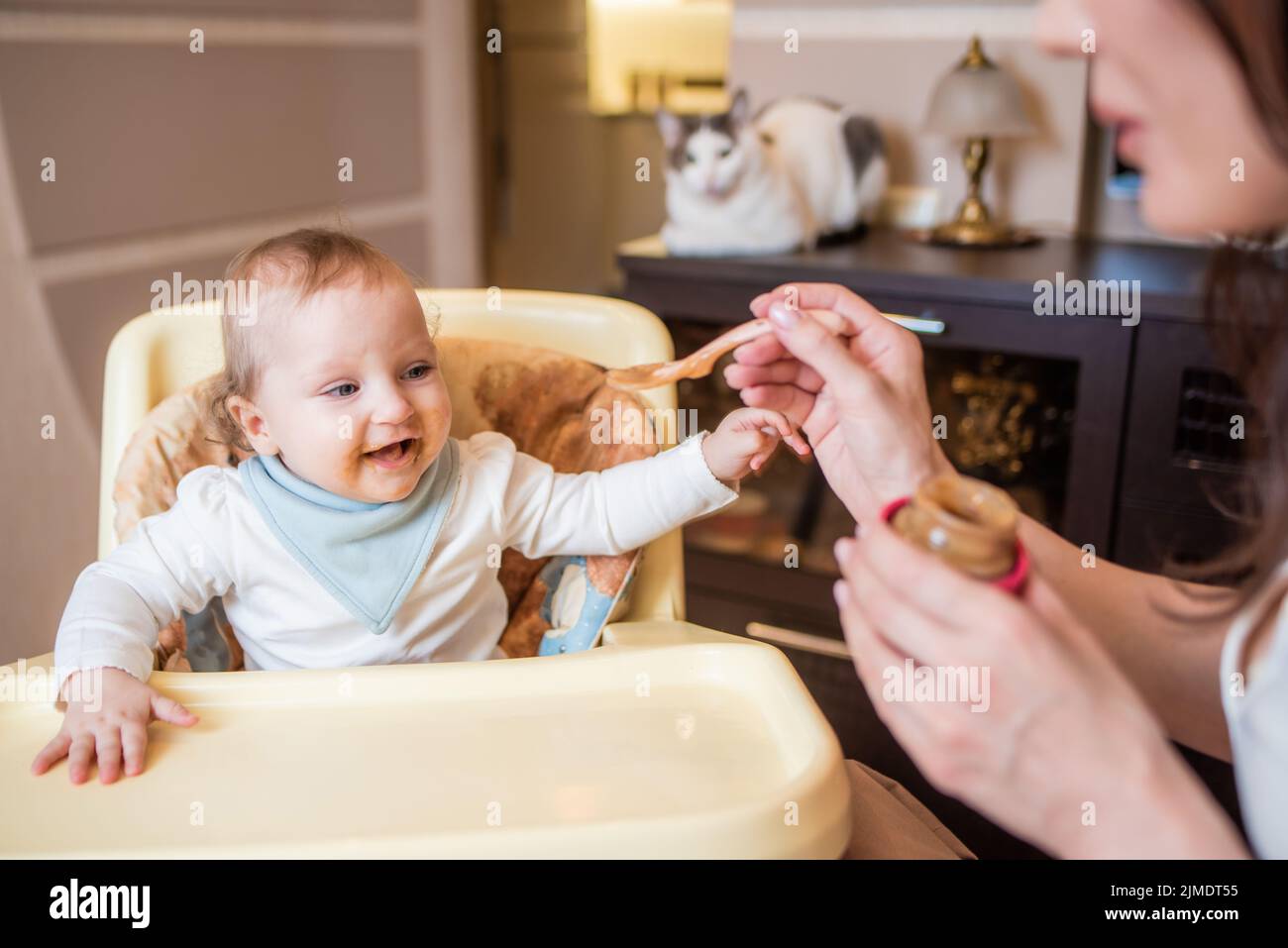 Mother feeds her little daughter fruit puree from a spoon. First food ...