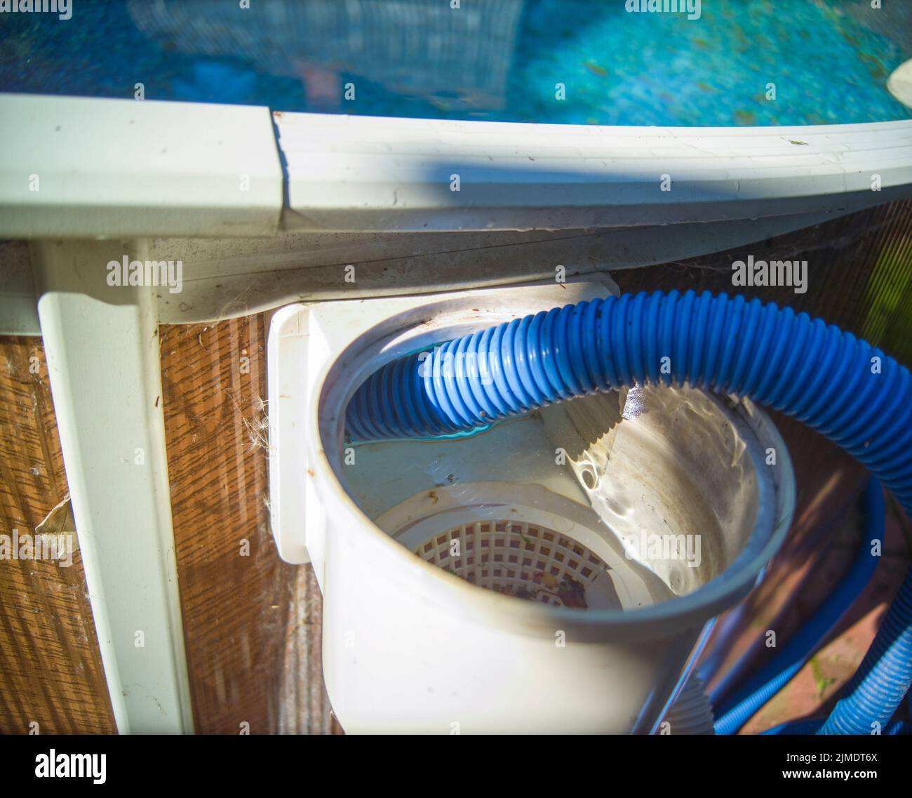 outdoor pool skimmer and water hose, sunny day shot Stock Photo - Alamy
