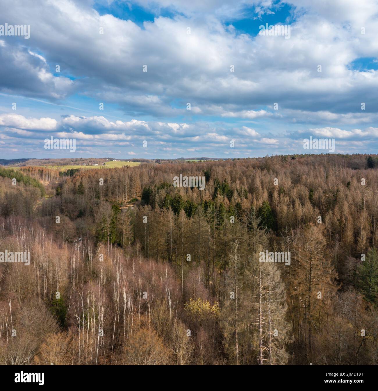 Aerial view over forests and meadows of Westerwald, Altenkirchen ...
