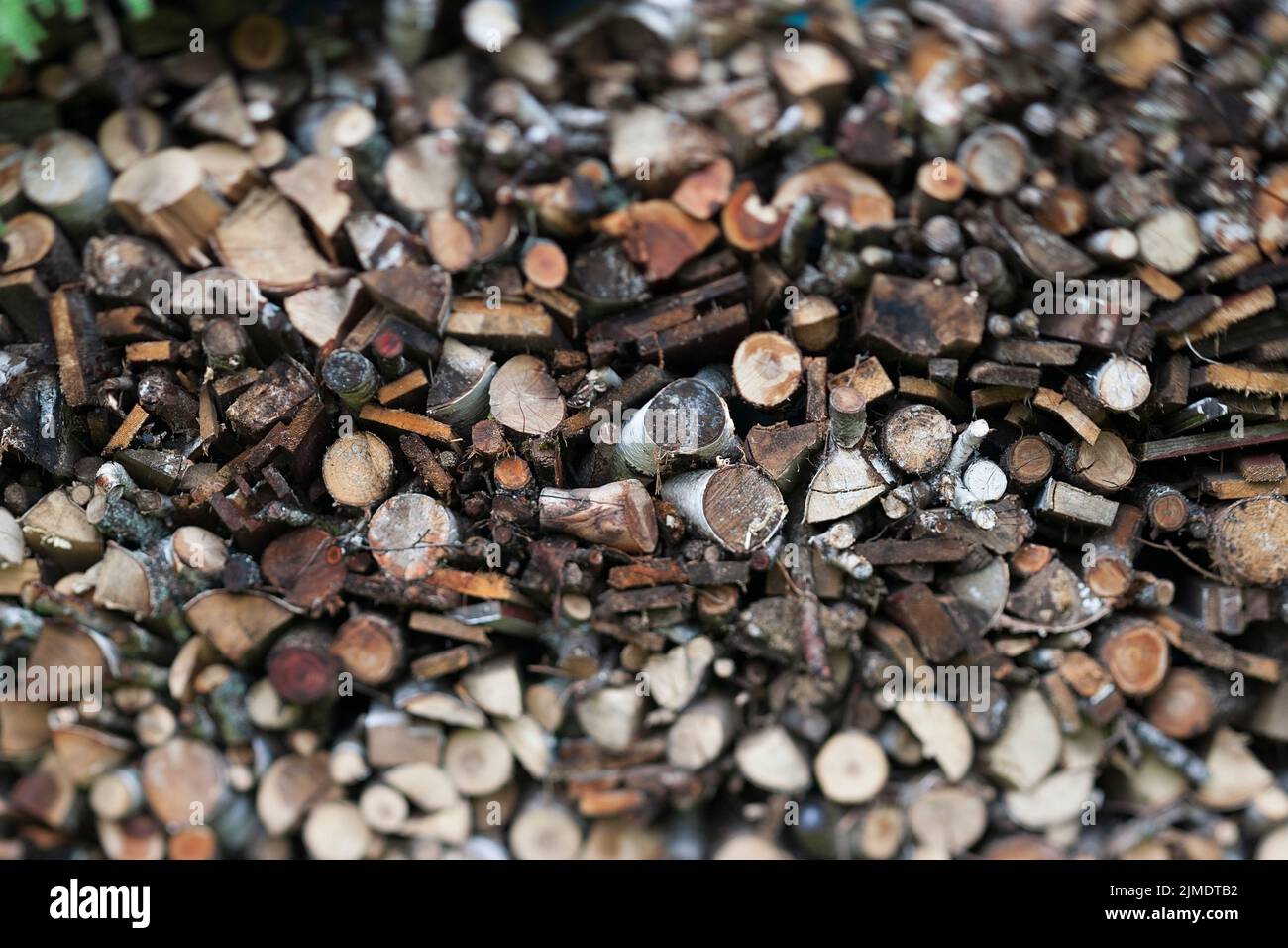 tilt shift extremely shallow DOF of a firewood stack, outdoor closeup ...