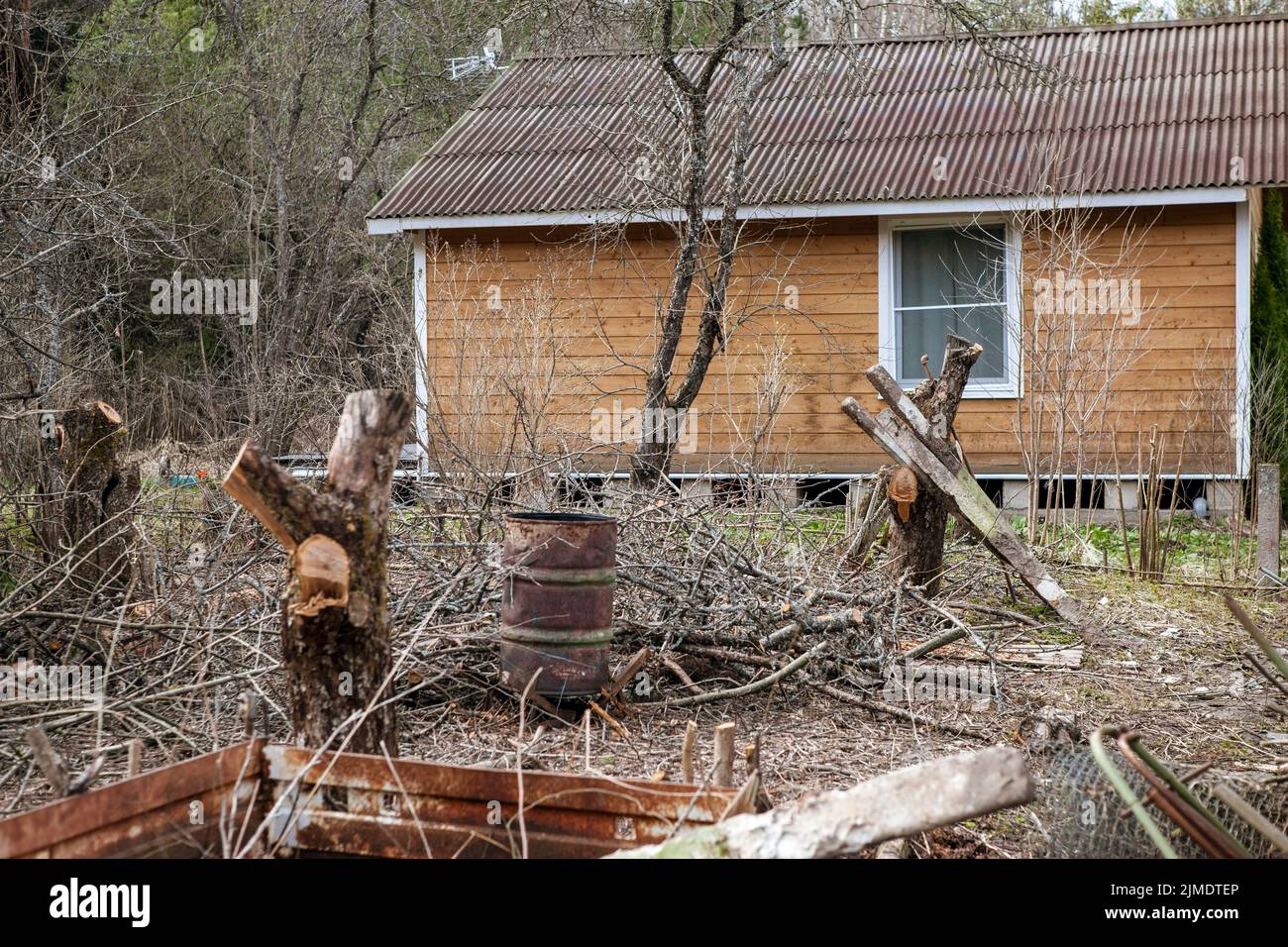 a messy yard and removing unwanted trees in overgrown garden Stock ...