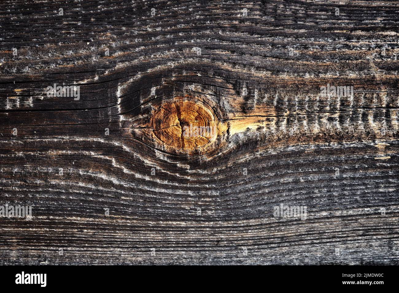 Tree knot hi-res stock photography and images - Alamy