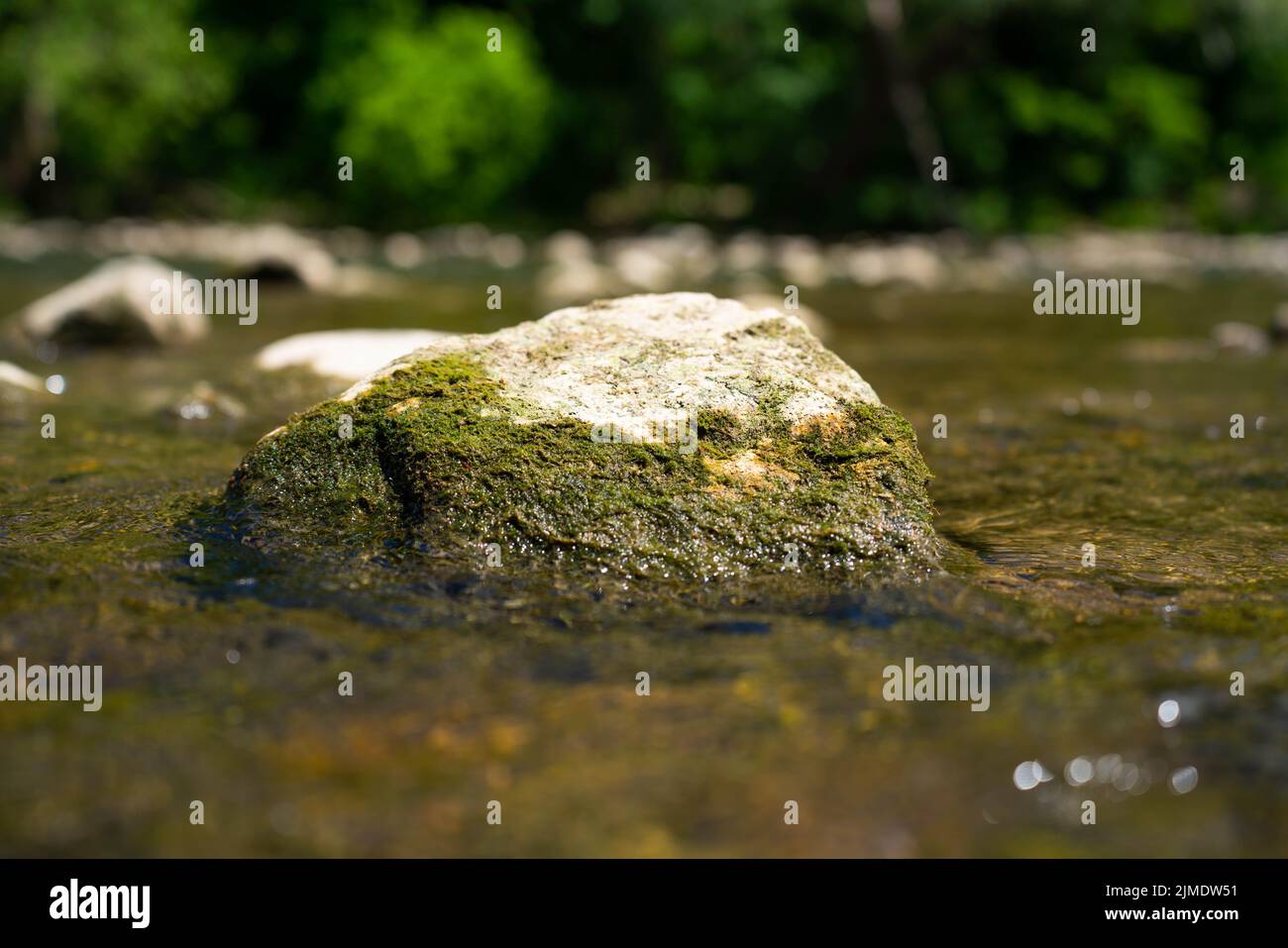 Moldy rock hi-res stock photography and images - Alamy