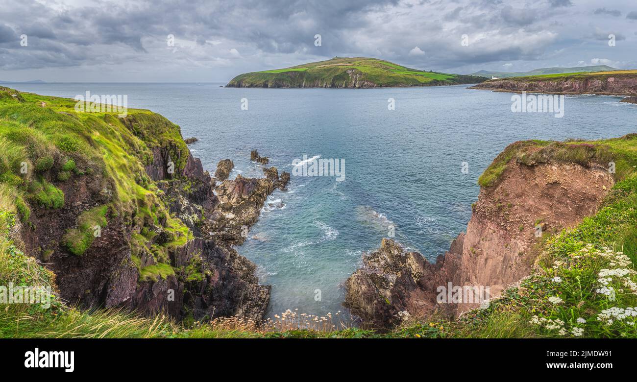 Large panorama with Dingle Lighthouse and bay surrounded by cliffs ...