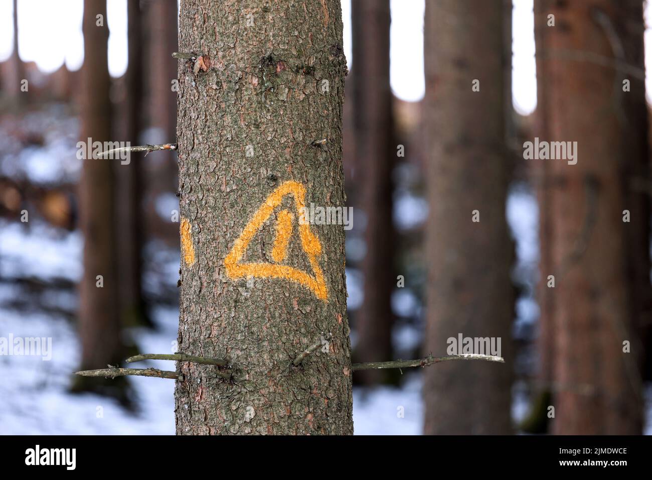 A warning sign on a tree in a winter forest Stock Photo - Alamy