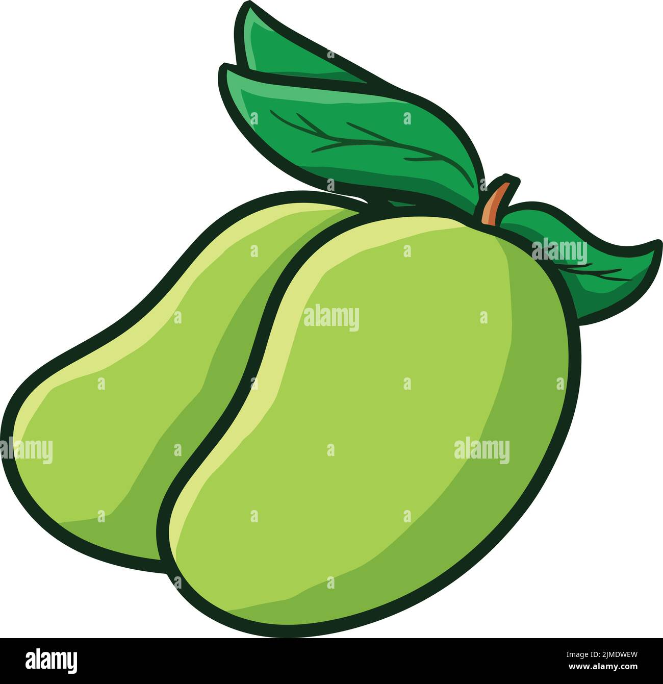 A vector of green mangos with a white background Stock Vector Image ...