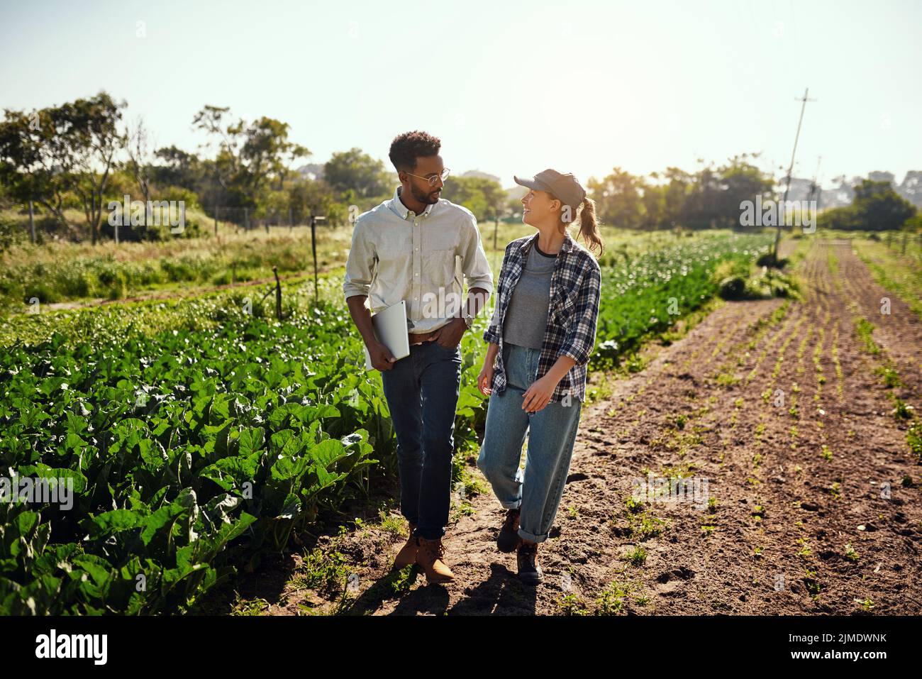 Agriculture manager and farmer meeting, talking and discussing while ...
