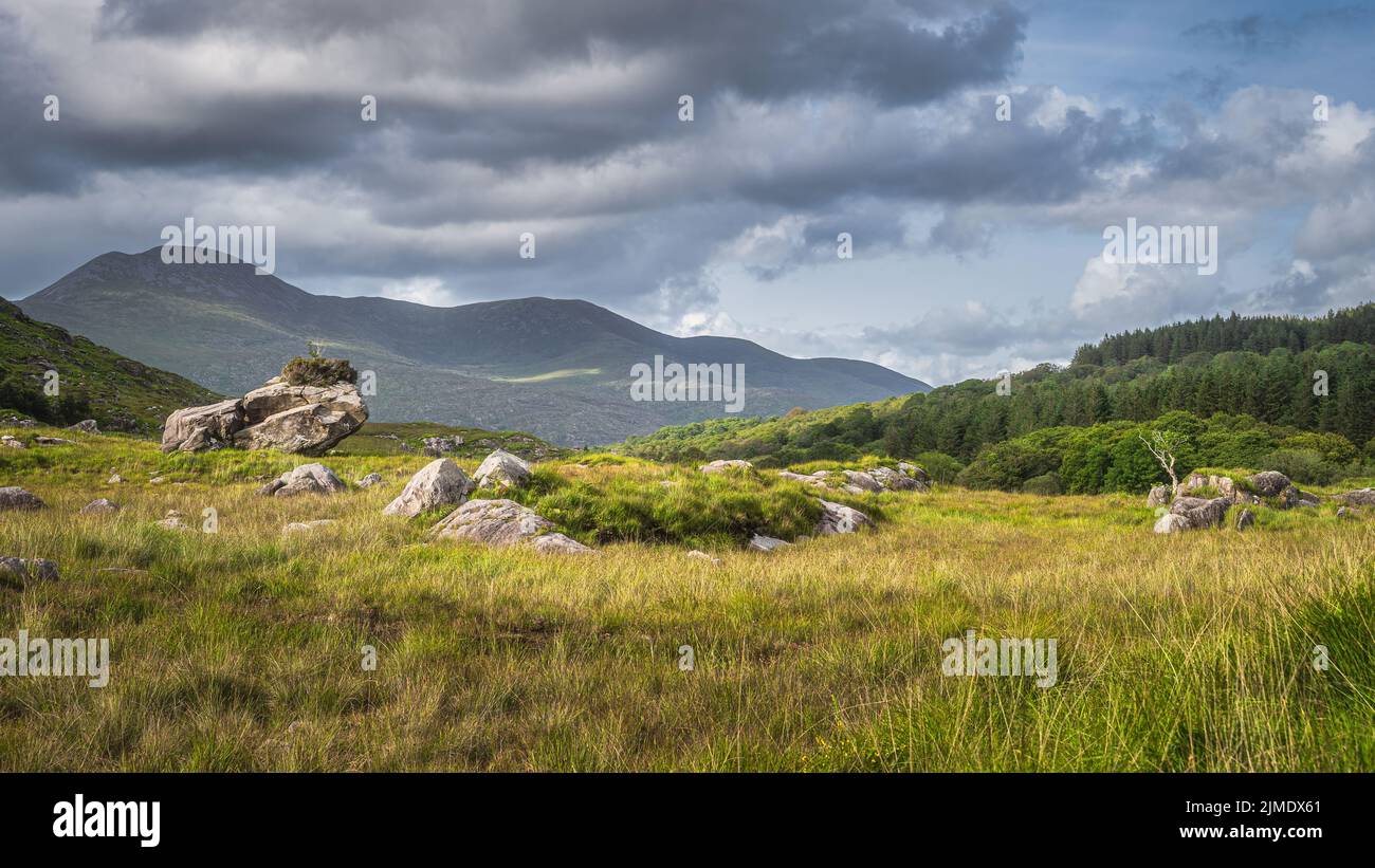 Rough landscape with massive boulders, meadow and forest, illuminated ...