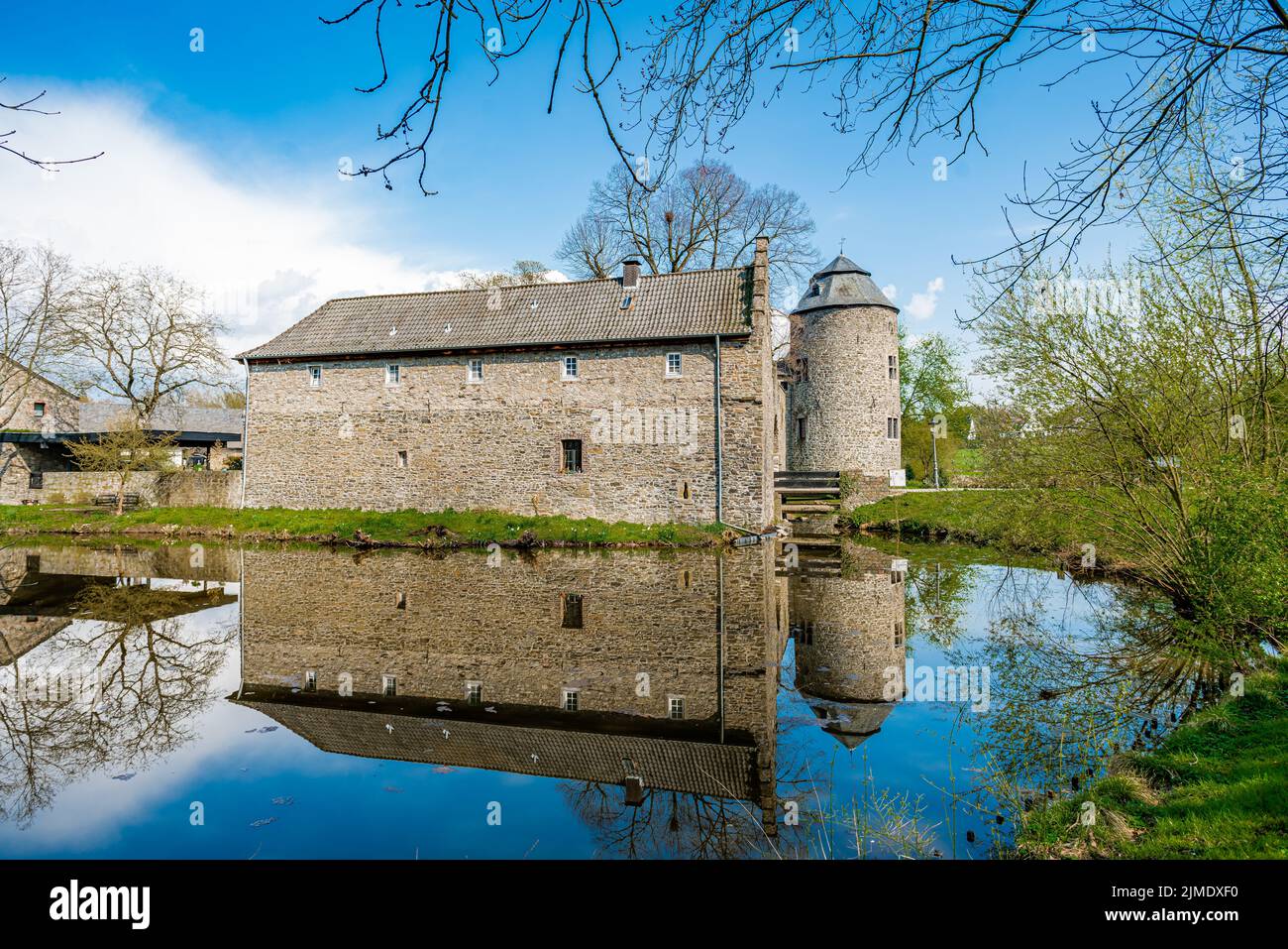 Mediaeval medieval tree hi-res stock photography and images - Alamy