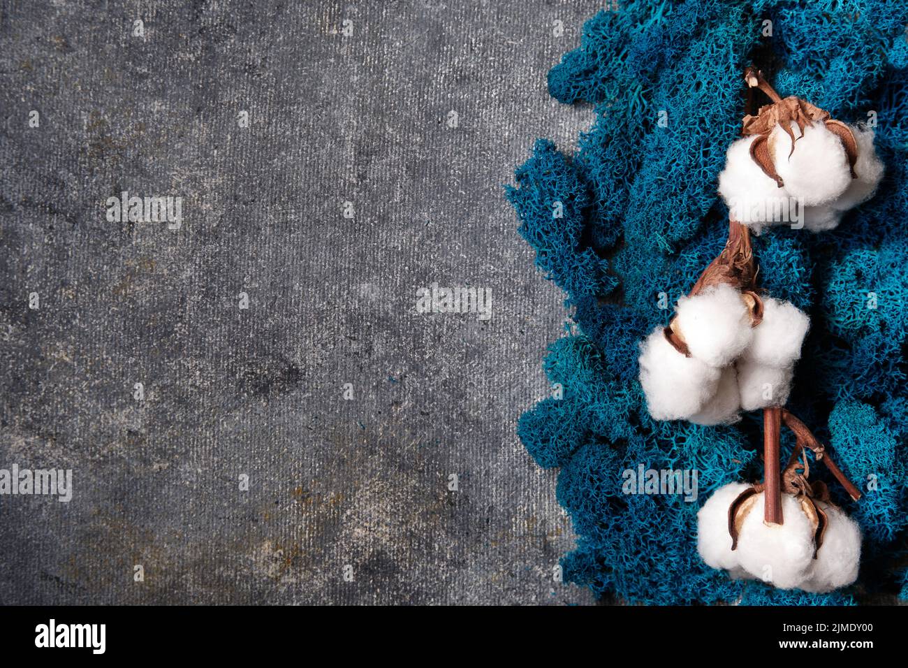 Box ball plant hi-res stock photography and images - Alamy