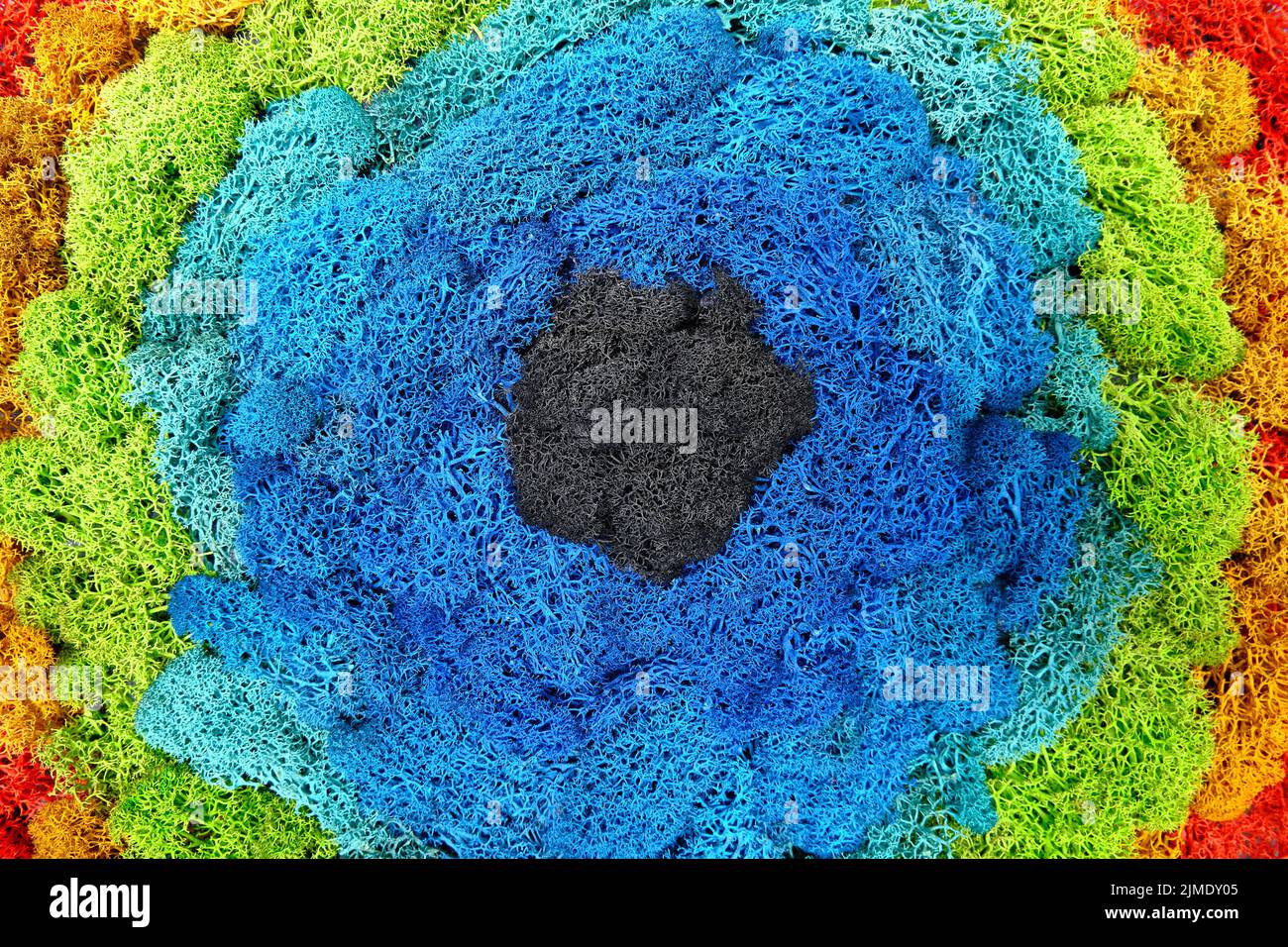 Colored stabilized moss. Red, yellow, green, blue colors Stock Photo ...