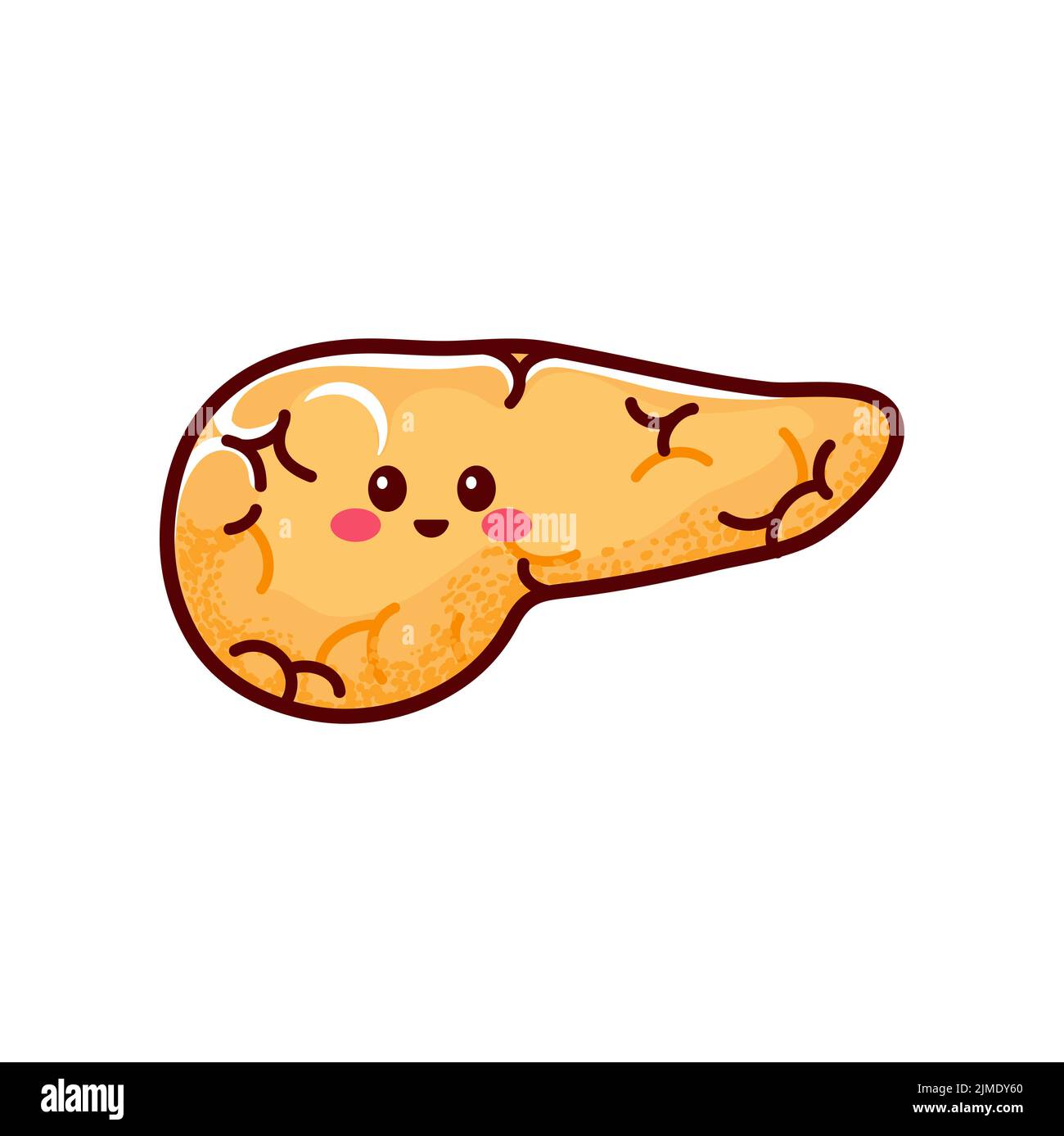 Large gland in stomach yellow pancreases, human internal organ, inner ...