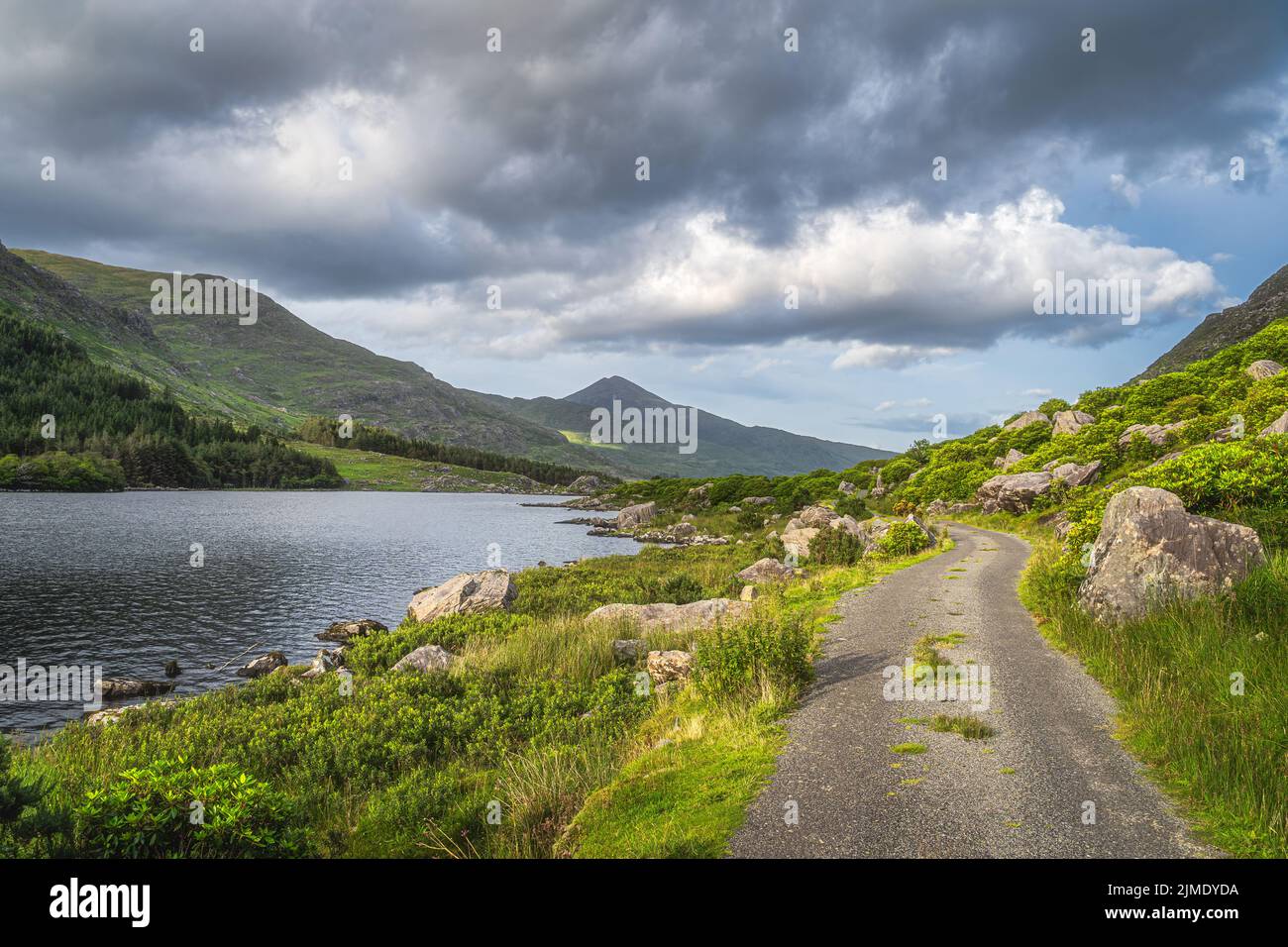 Winding country road leading trough Black Valley, MacGillycuddys Reeks ...