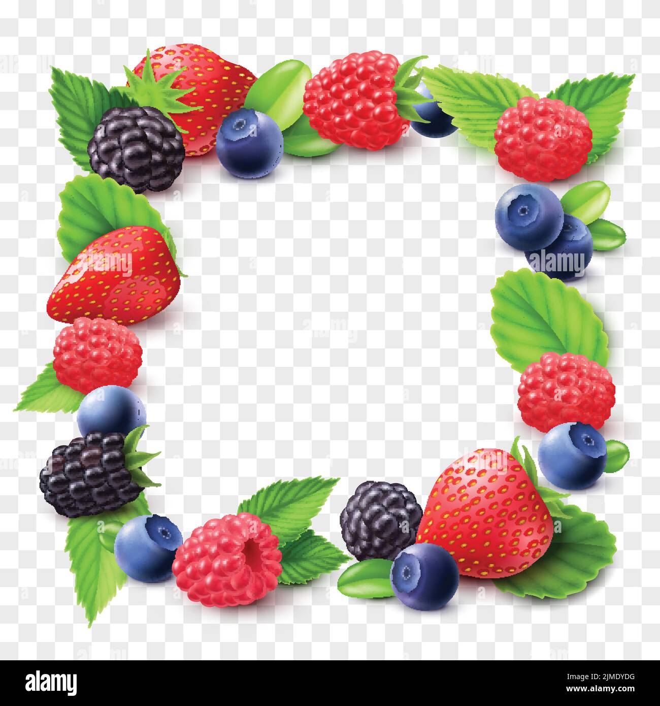 Berry frame with strawberry raspberry and blackberry transparent ...