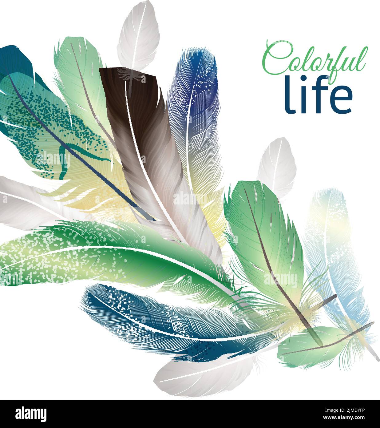 Feathers realistic design collection with colorful life symbols vector ...