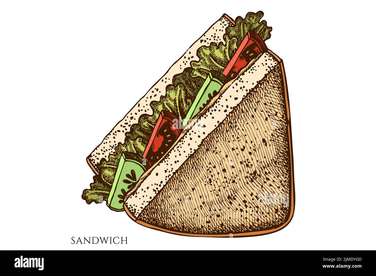Breakfast hand drawn vector illustrations collection. Colored sandwich ...