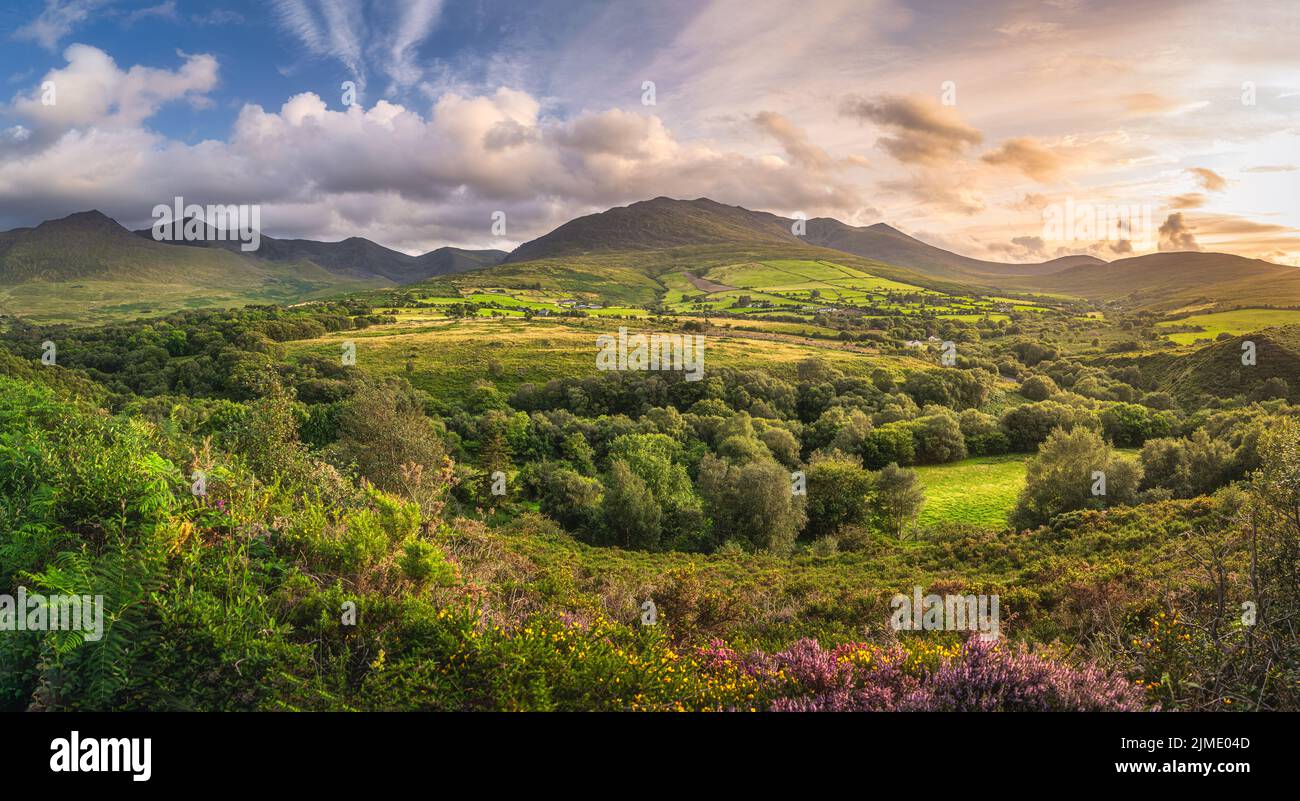 Sunset at the foothill of Carrauntoohil mountain, MacGillycuddys Reeks ...